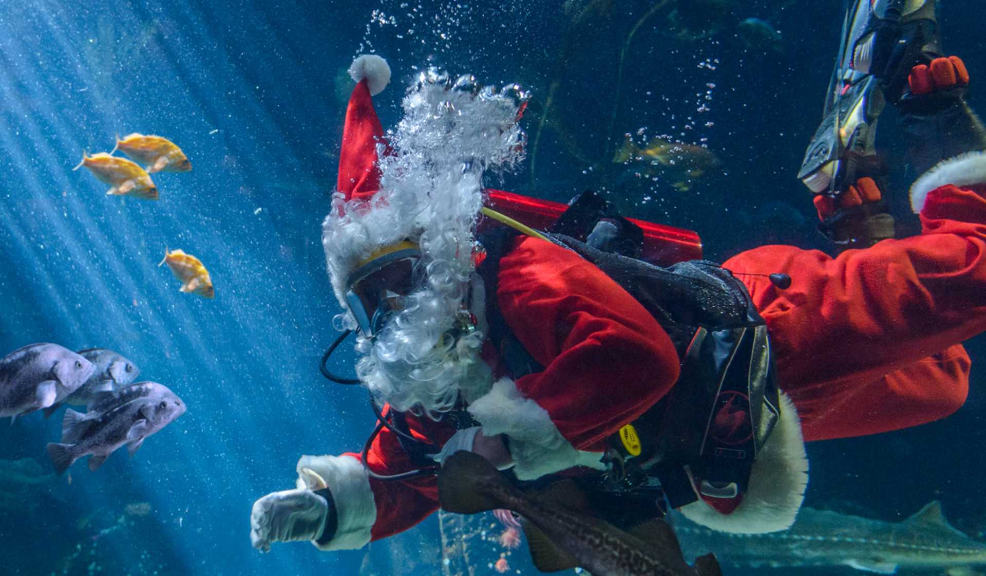 Offerte Viaggi e Vacanze a Natale - Poracci In Viaggio | Offerte Viaggi ...